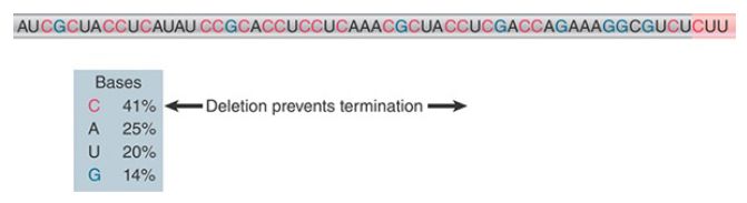 How Does Rho Factor Work
